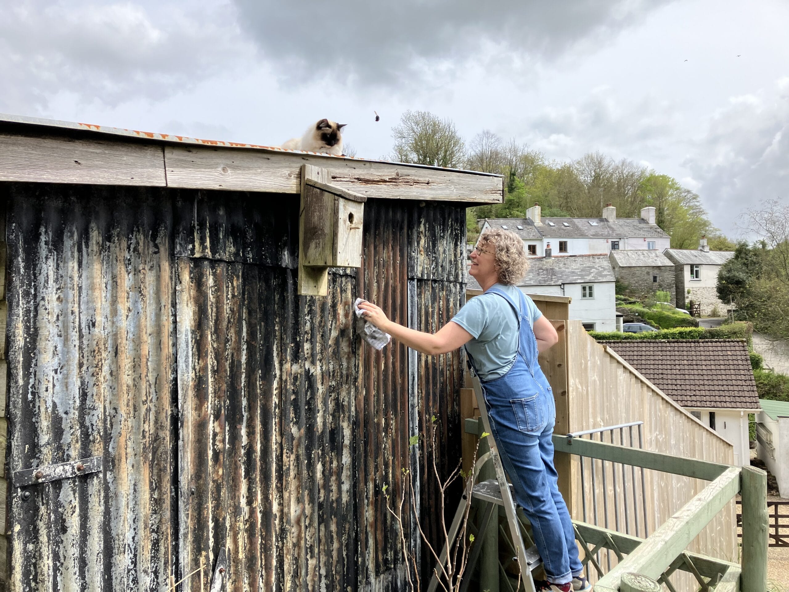Alice Finch Hatton - Drawn to the Valley